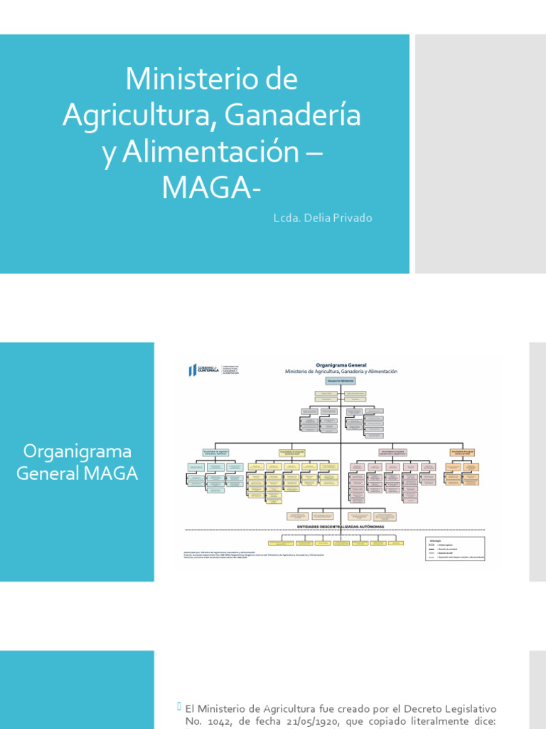 Organigrama y funciones del MAGA Guatemala | PDF | Ministerio ...