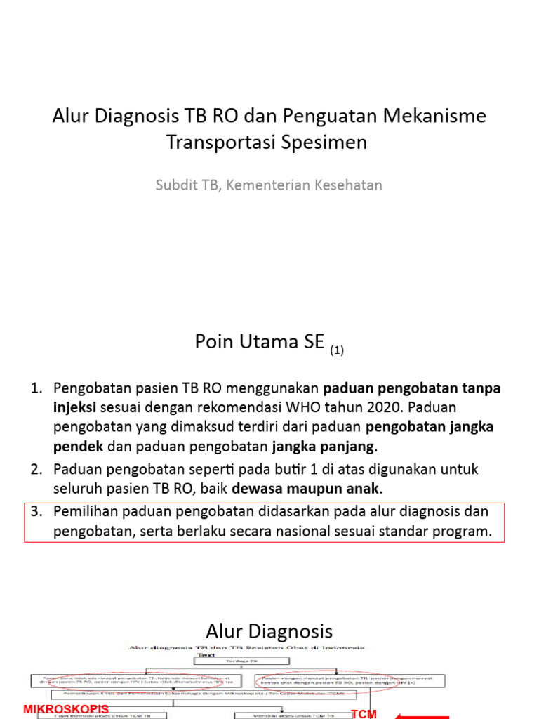 Alur Diagnosis TB RO Dan Penguatan Mekanisme Transportasi - Rev | PDF
