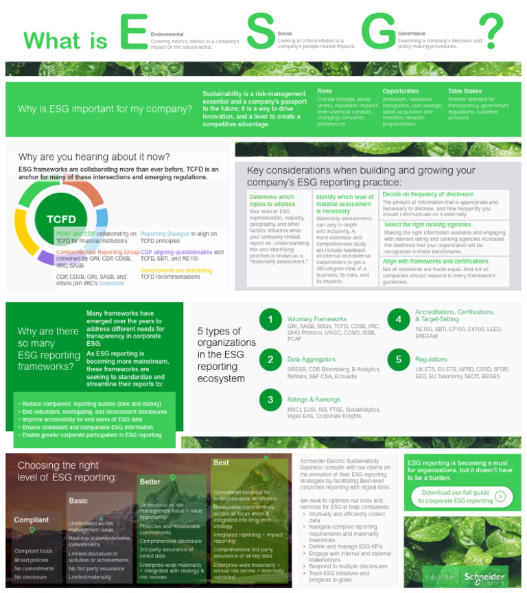 ESG Reporting Best Practices Guide | PDF | Business | Economies