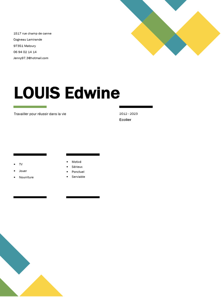 CV 2023 Louis Edwine - 115831 | PDF