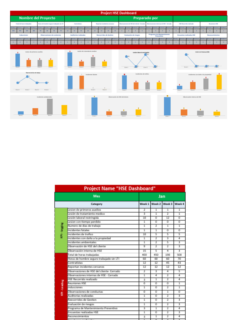 Project HSE Dashboard | PDF