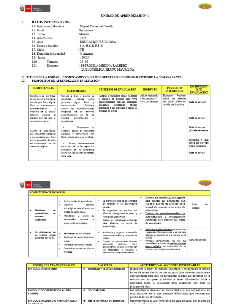 Unidad de Aprendizaje N 1 Primer Año | PDF