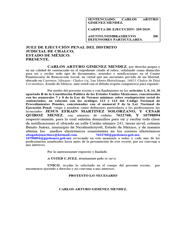 Nombramiento De Defensor Particular Pdf Gobierno Justicia