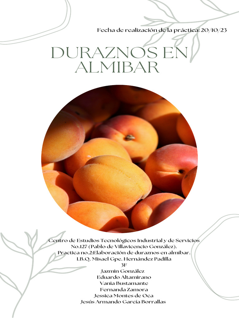 Duraznos en Almíbar | PDF | Hirviendo | Agua