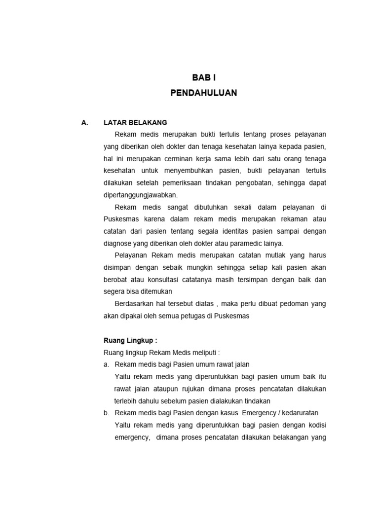 3811 B PEDOMAN PENGELOLAAN REKAM MEDIS Bu Putri | PDF