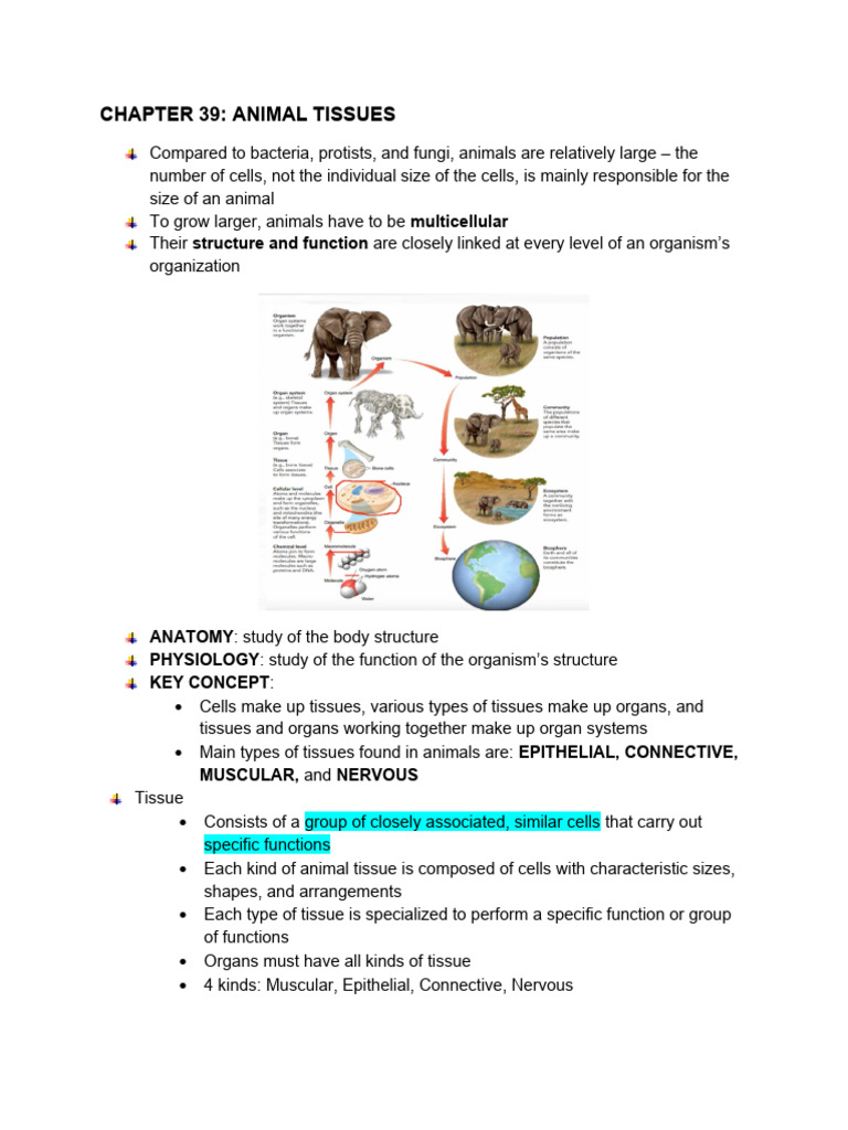 Gen Bio 2 | PDF