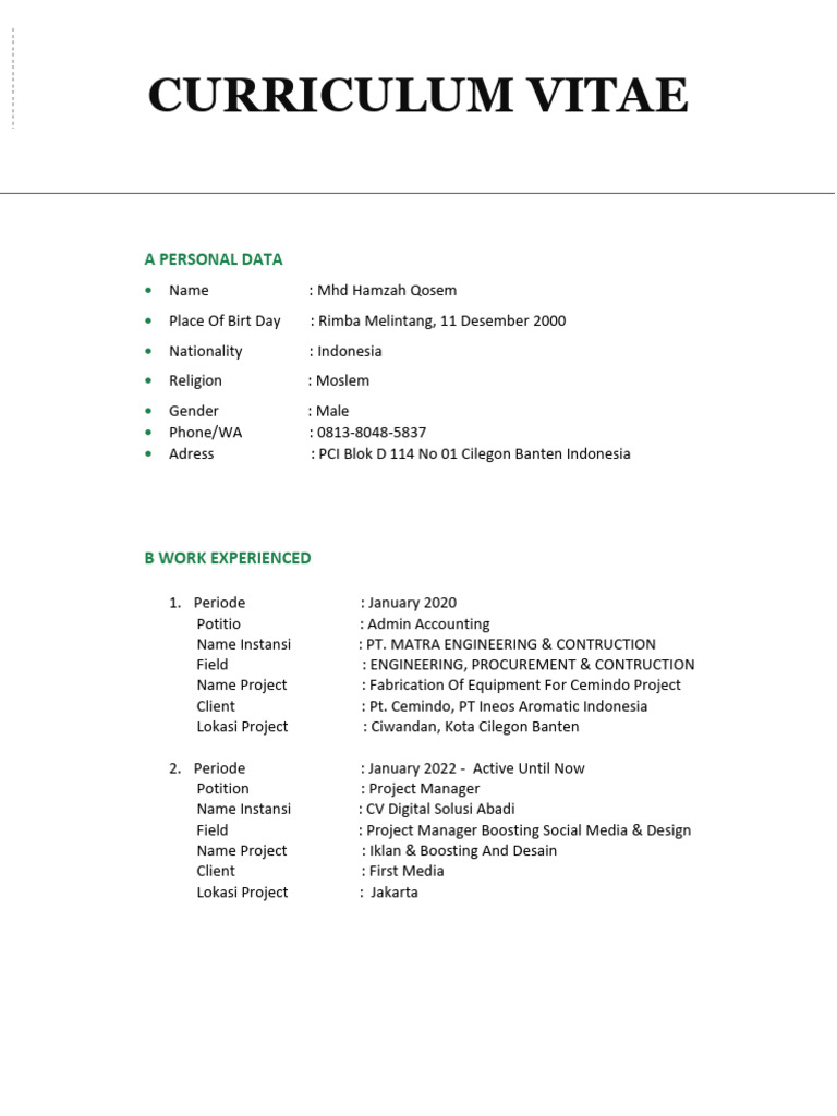 CV Hamzah | PDF