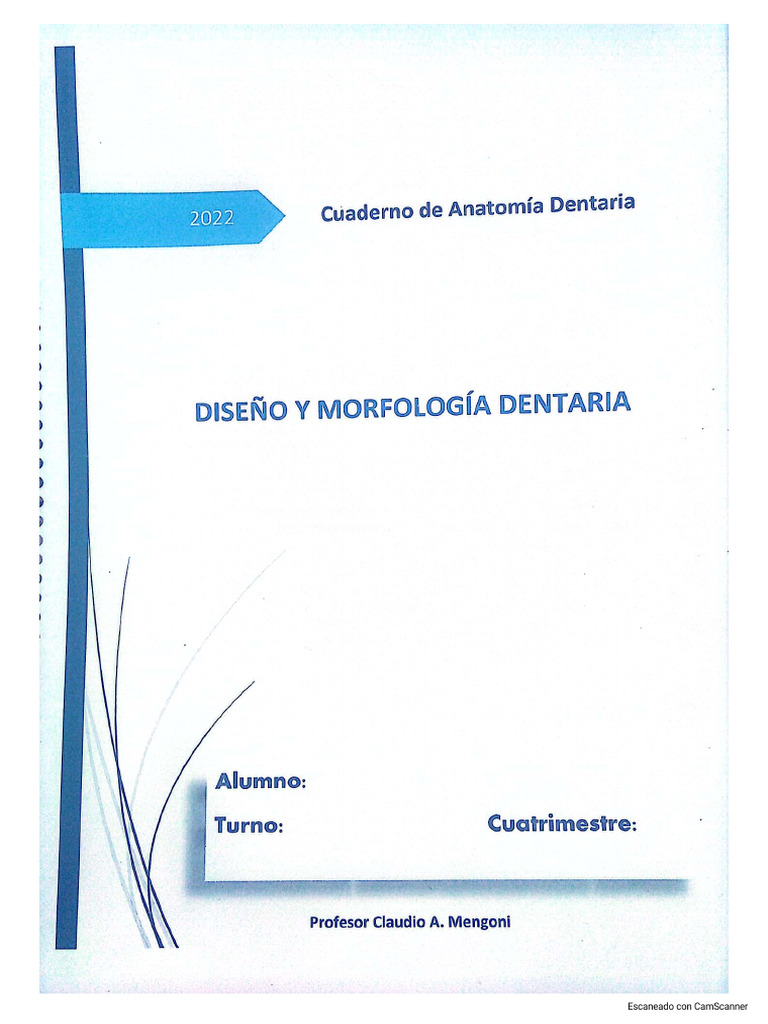 Cuadernillo Diseño y Morfología Dentaria | PDF