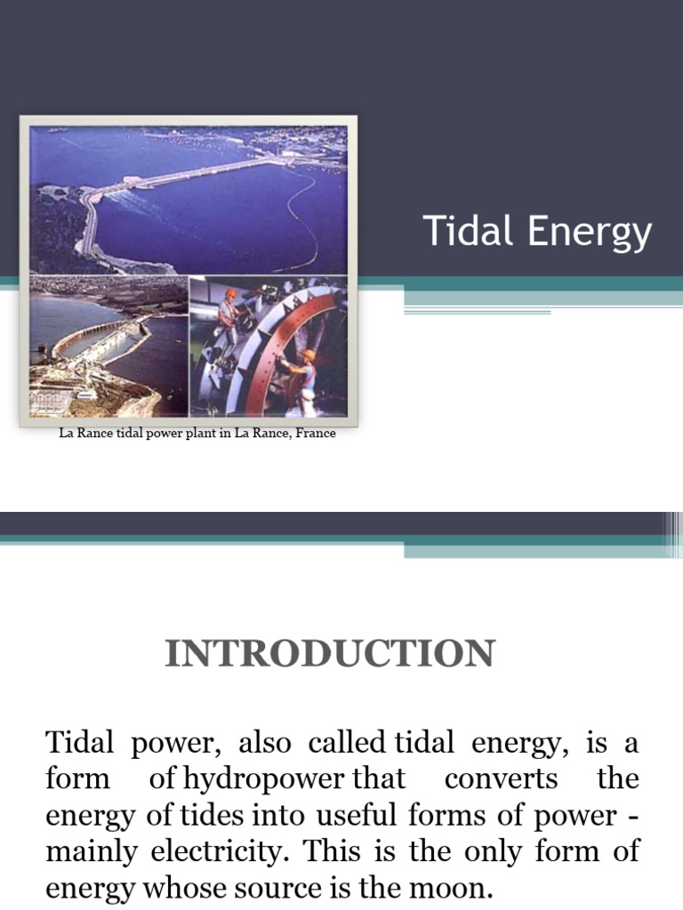 Tidal Power Plants | PDF | Power (Physics) | Physical Quantities