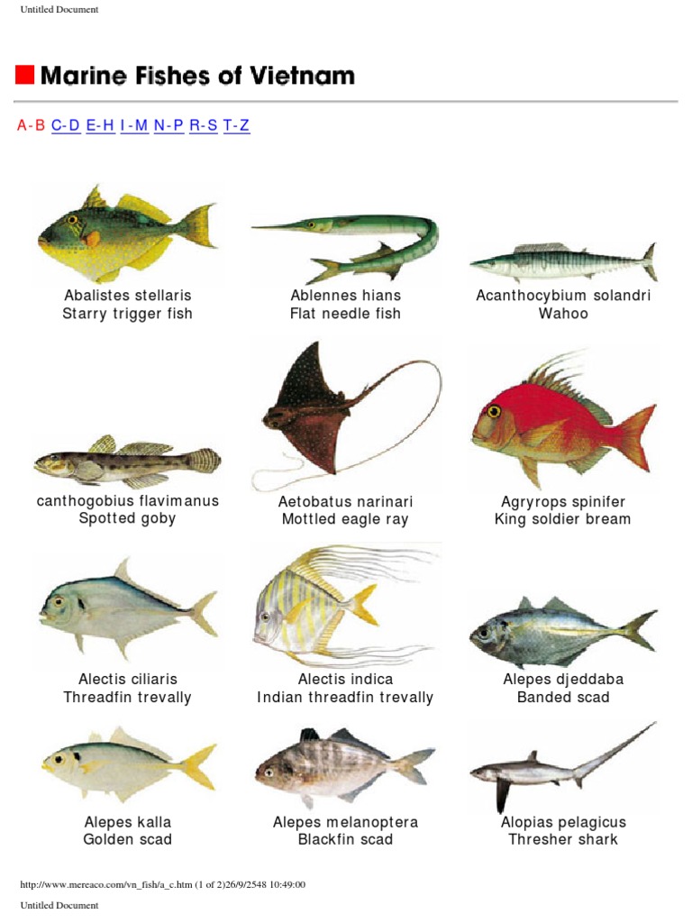 Fish Species of Vietnam | PDF | Aquatic Animals | Perciformes