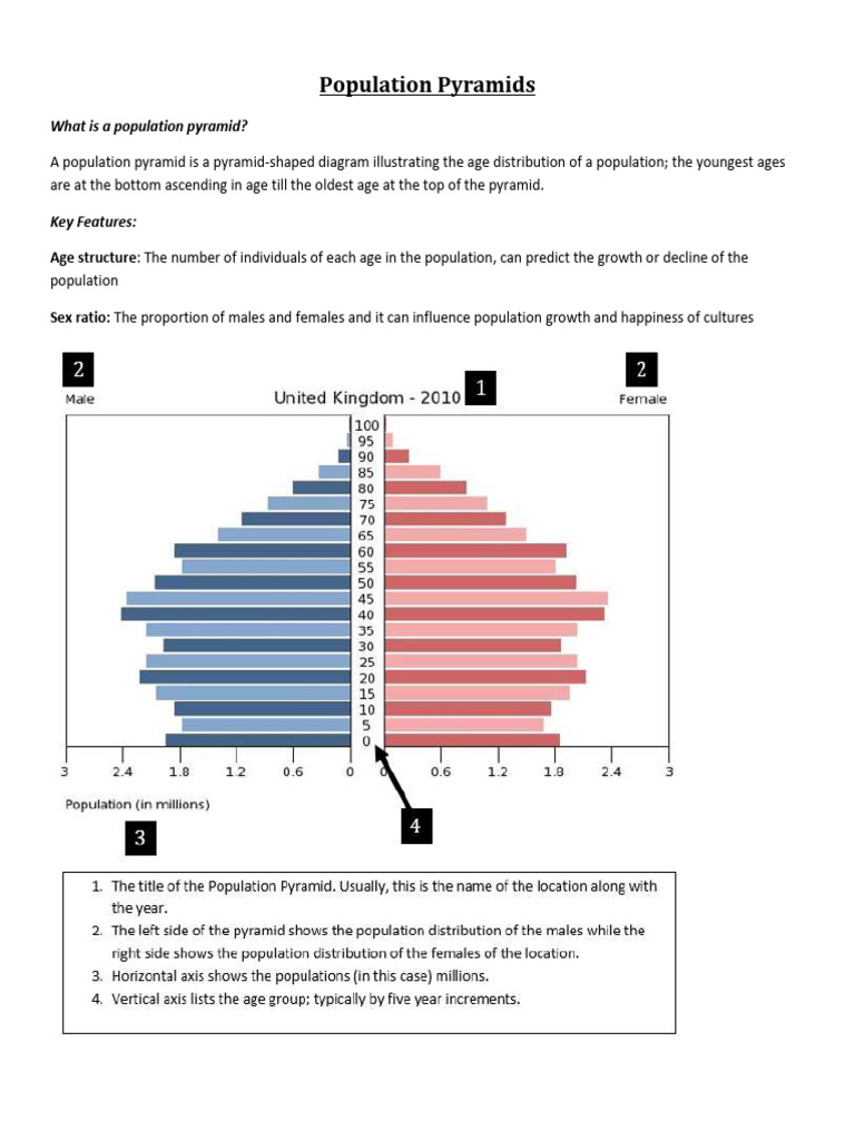 Population Pyramid 2017 18 Pdf