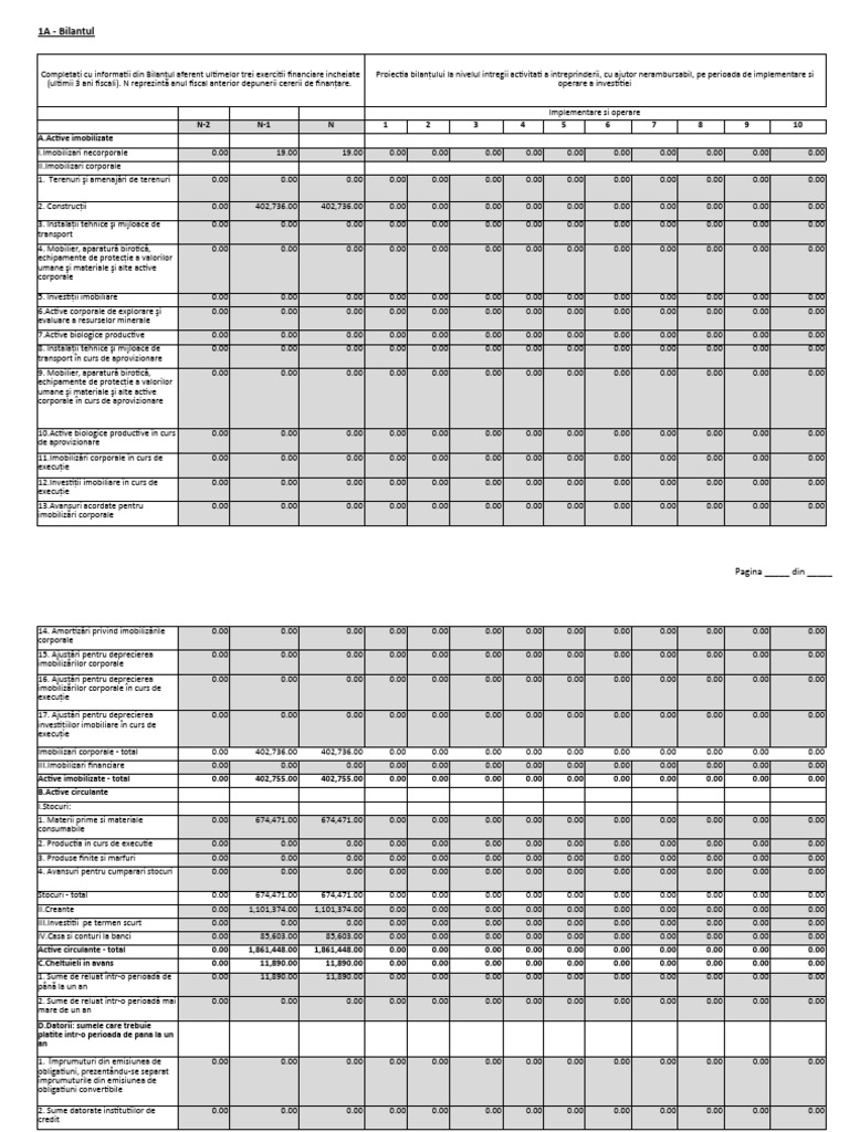 Anexa 5 Plan de Afaceri-Macheta Financiara | PDF