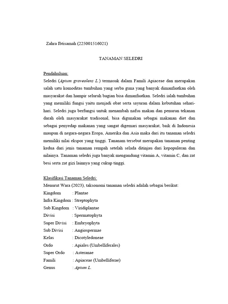 Tanaman Seledri | PDF