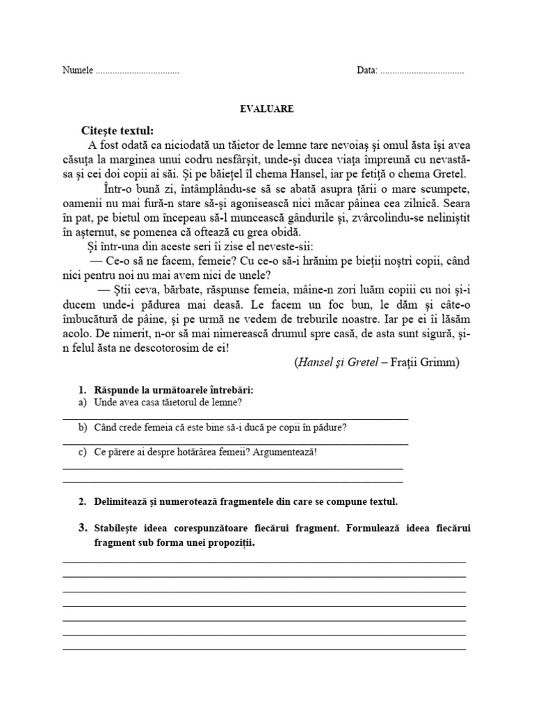 Test de Evaluare. Ideea Principala - Compunere Dupa Un Plan de Idei | PDF