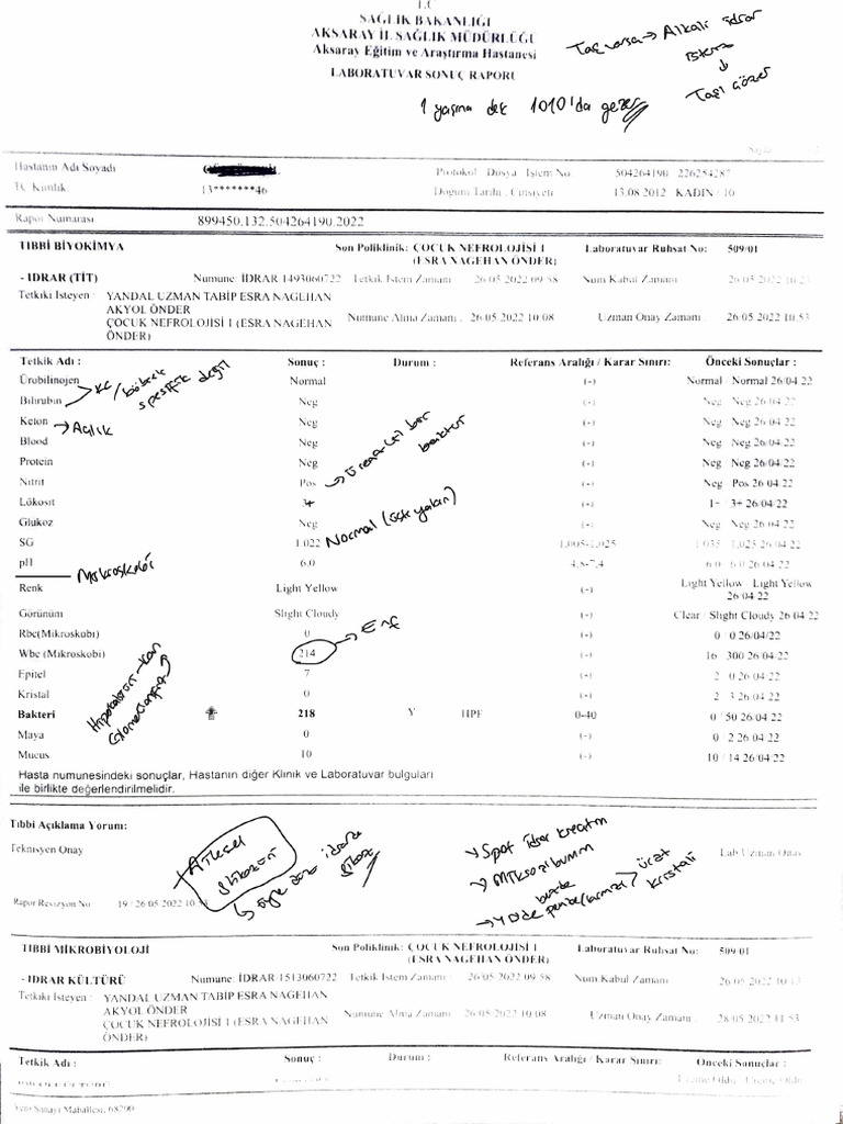 Adobe Scan 20 Eyl 2022 | PDF