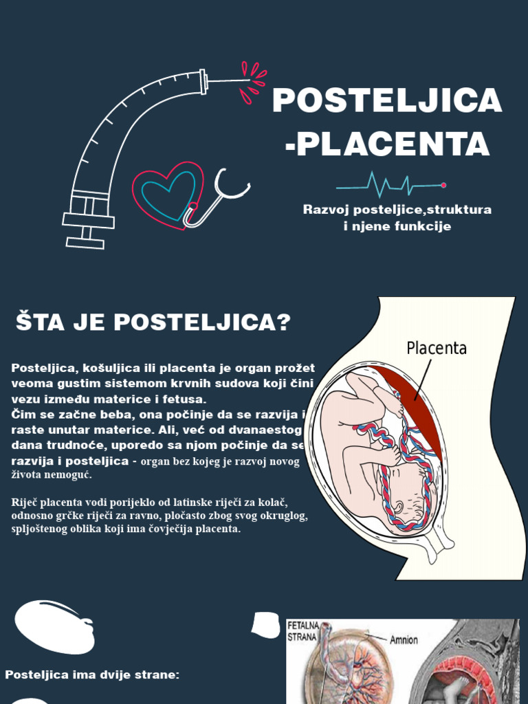 Placenta 2 | PDF