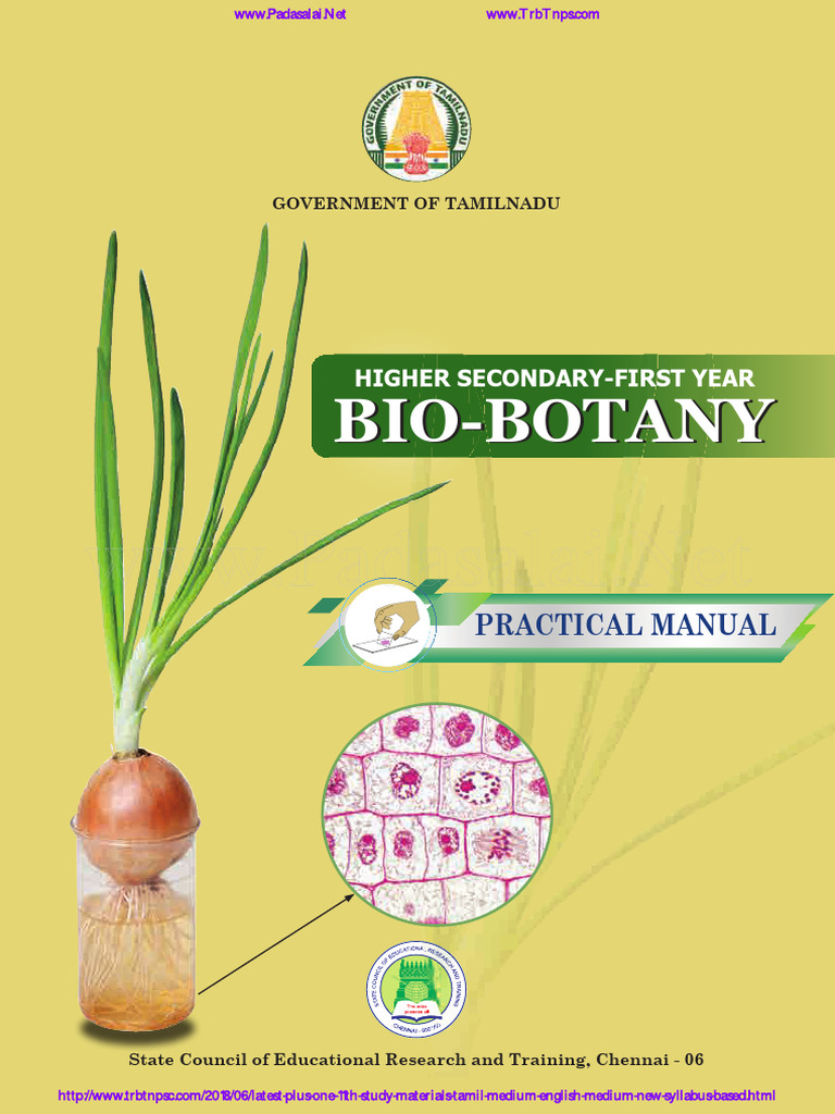 Botany Practical Guide for Students | PDF | Plant Stem | Staining
