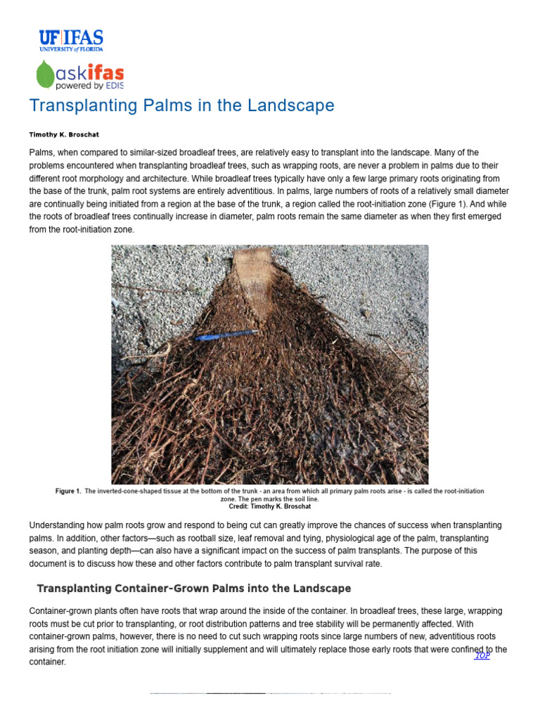CIR1047 - EP001 - Transplanting Palms in The Landscape | PDF | Home ...