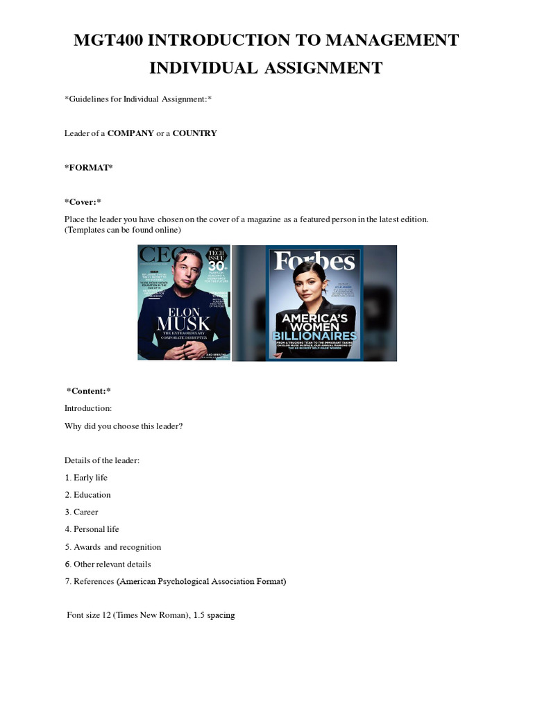 MGT400 Individual Assignment Guidelines | PDF | Career & Growth