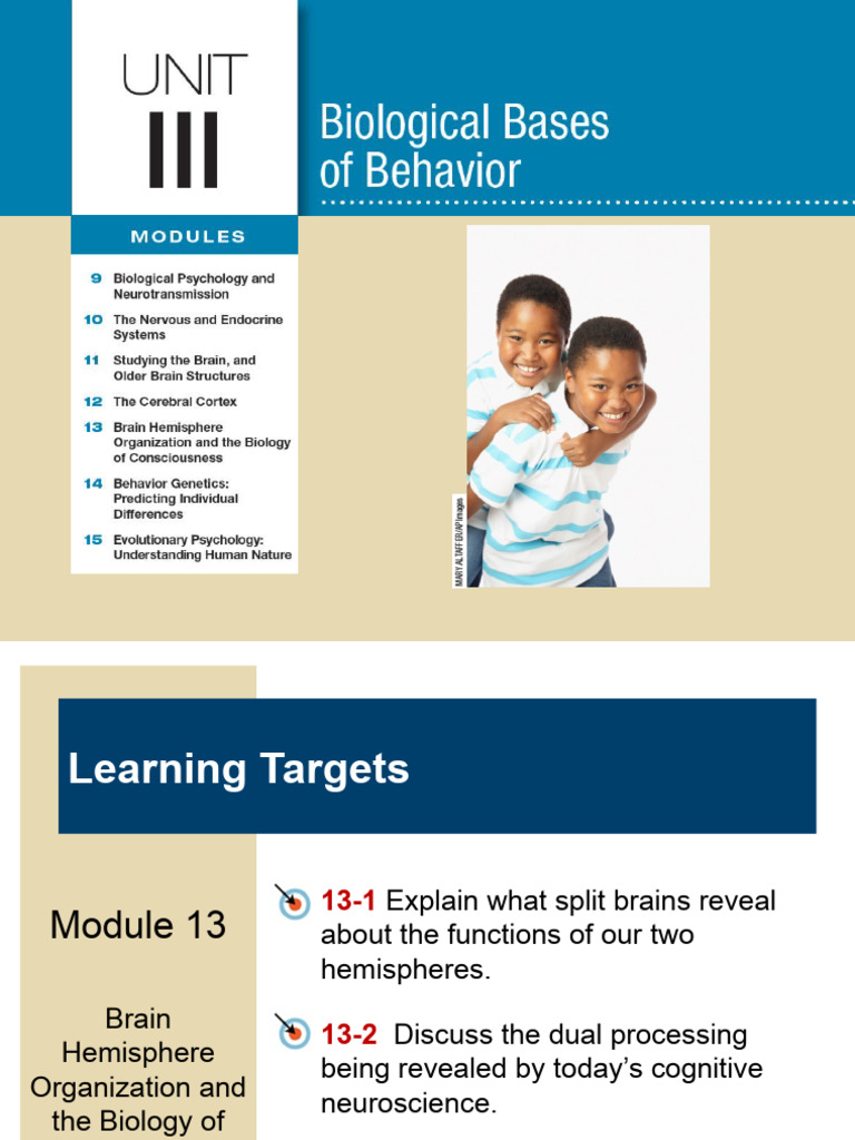 Ap Psychology Chapter 2 Lesson 3 | PDF | Lateralization Of Brain ...