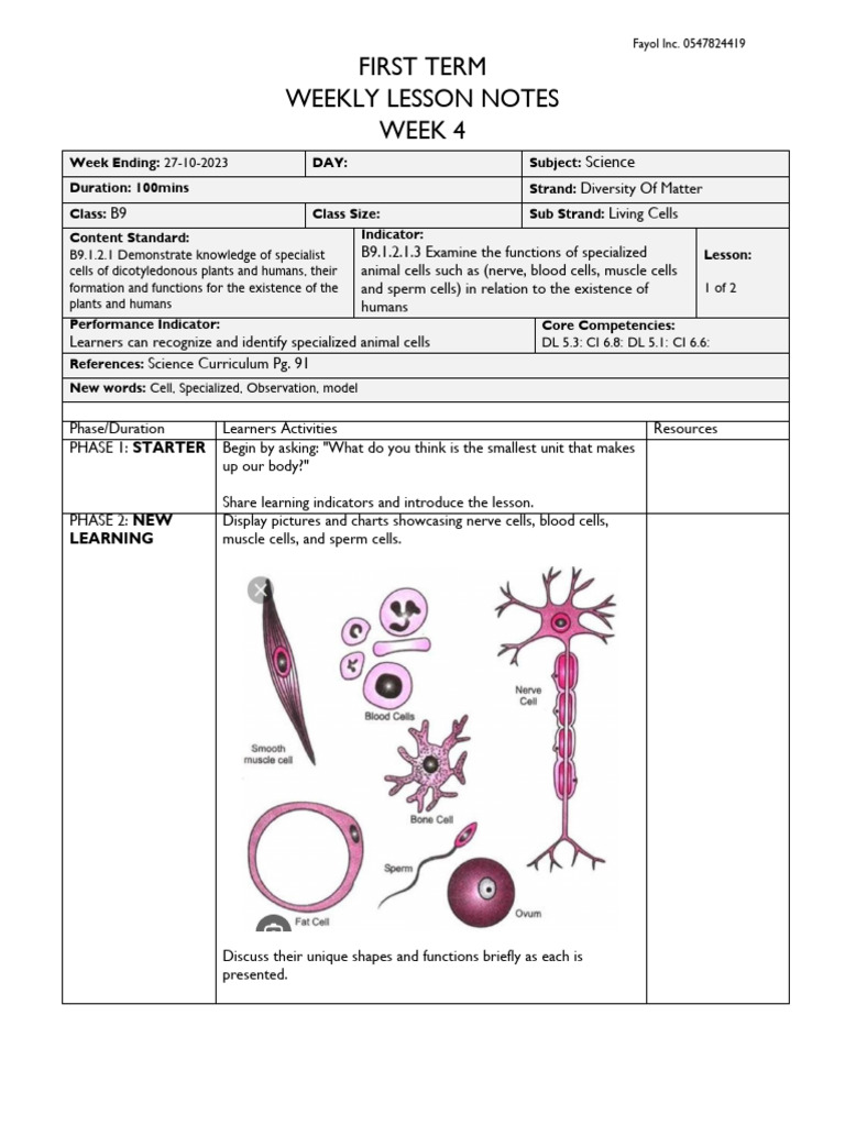 B9 Sci WK4 | PDF | Learning | Cell (Biology)