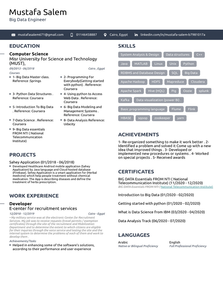 Mustafa CV | PDF