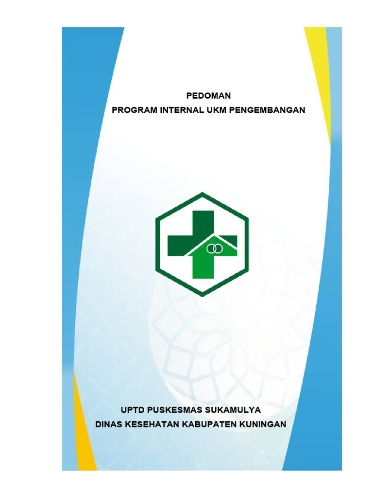 Pedoman Program Ukm Pengembangan | PDF