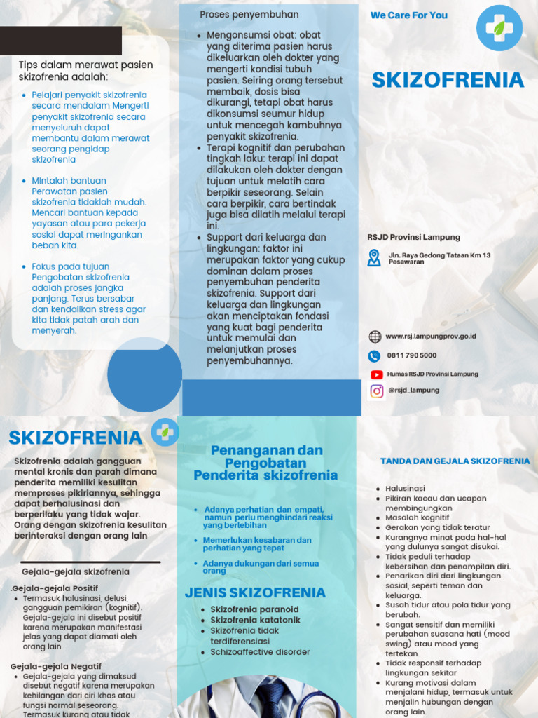 Leaflet Skizofrenia | PDF