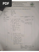 Panduan Pengisian CPPT | PDF