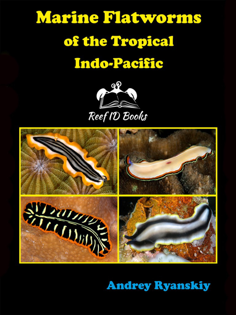 Marine Flatworms of The Tropical Indo Pacific Look Inside 1 | PDF