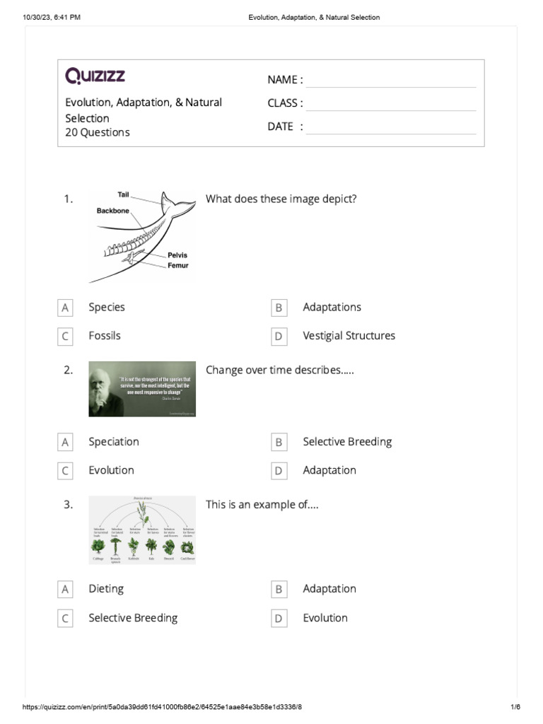 Bio Answersheet 3 | PDF | Evolution | Natural Selection