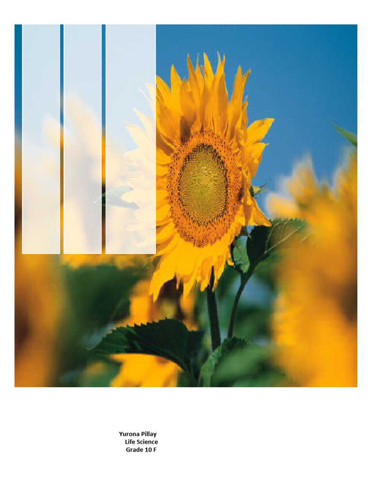 Life Science Biomes | PDF | Grassland | Ecosystem