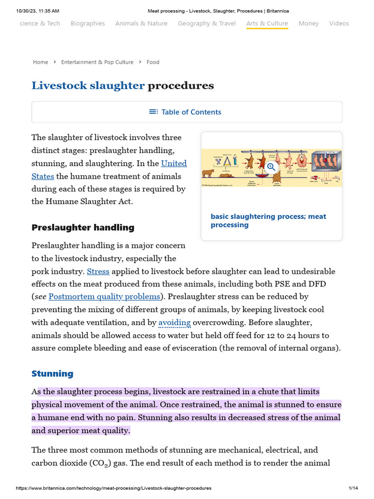 Meat Processing - Livestock, Slaughter, Procedures - Britannica | PDF ...