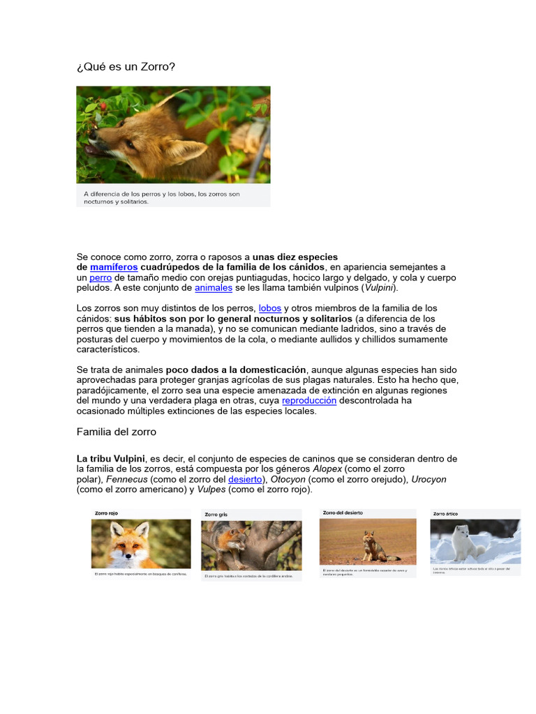 Zorro | PDF | Canidae | Organismos