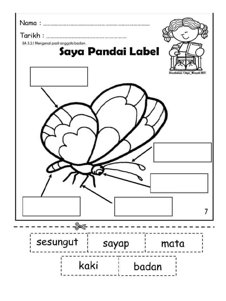 Bahagian Rama-Rama | PDF