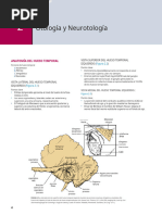 Region Geniana | PDF | Cabeza y cuello humanos | Anatomía humana