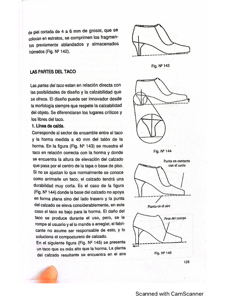 Partes Del Taco | PDF