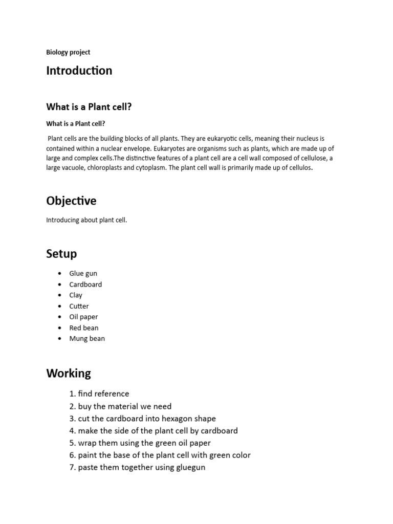 Plant Cell Model Guide for Students | PDF