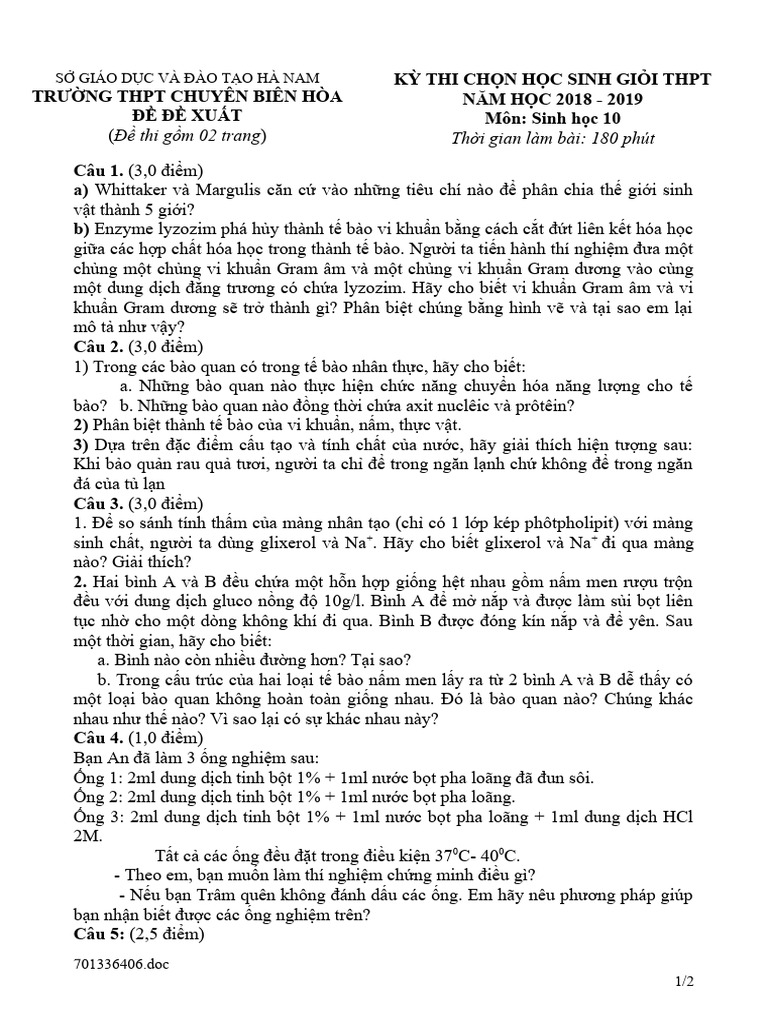 TH I Gian Làm Bài: 180 Phút: S Giáo D C Và Đào T o Hà Nam | PDF