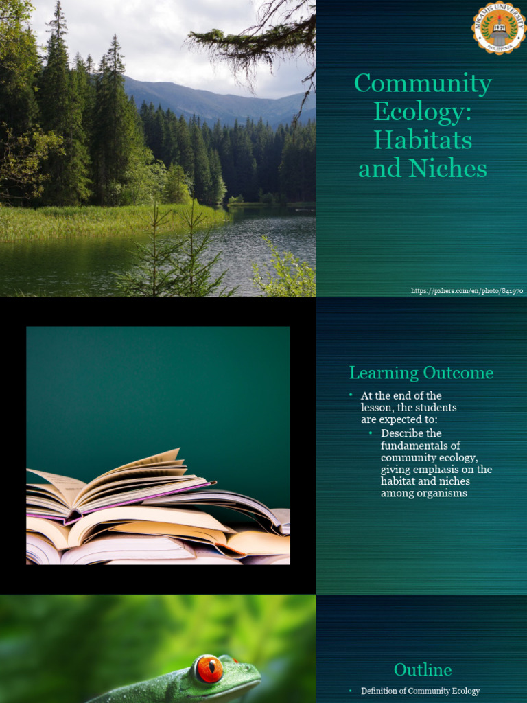Habitats and Niches1 | PDF | Ecological Niche | Earth Sciences