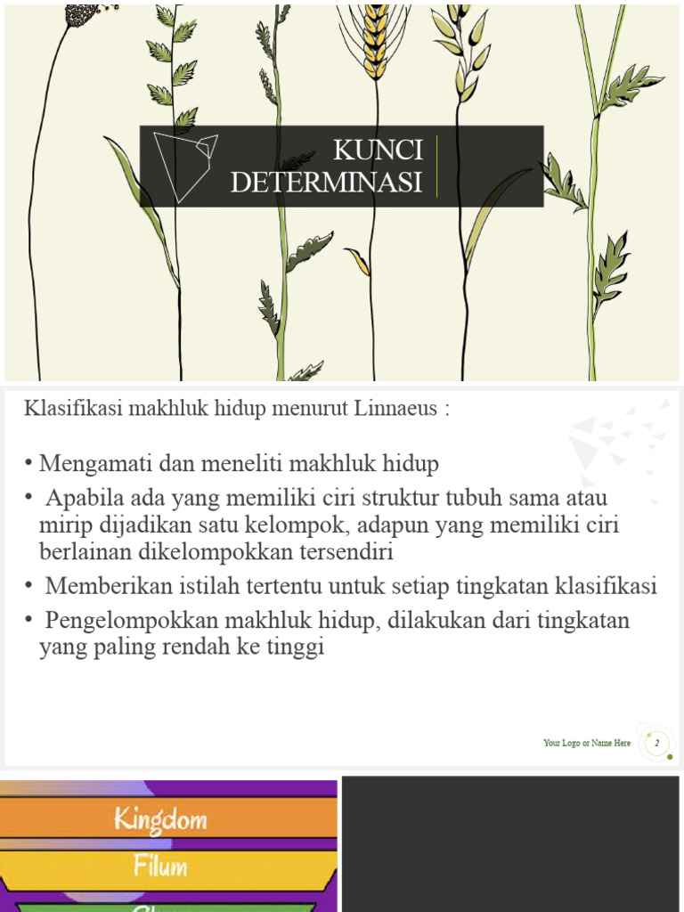 Kunci Determinasi (Pert. 2) | PDF