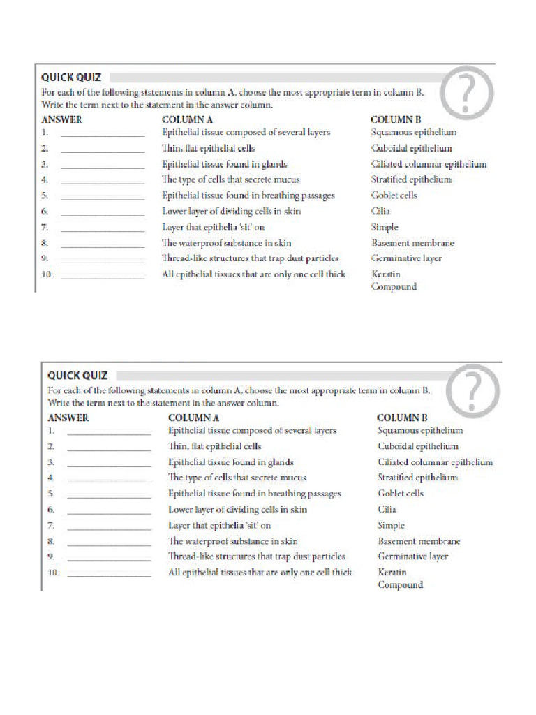 Epithelial Tissue Questions | PDF