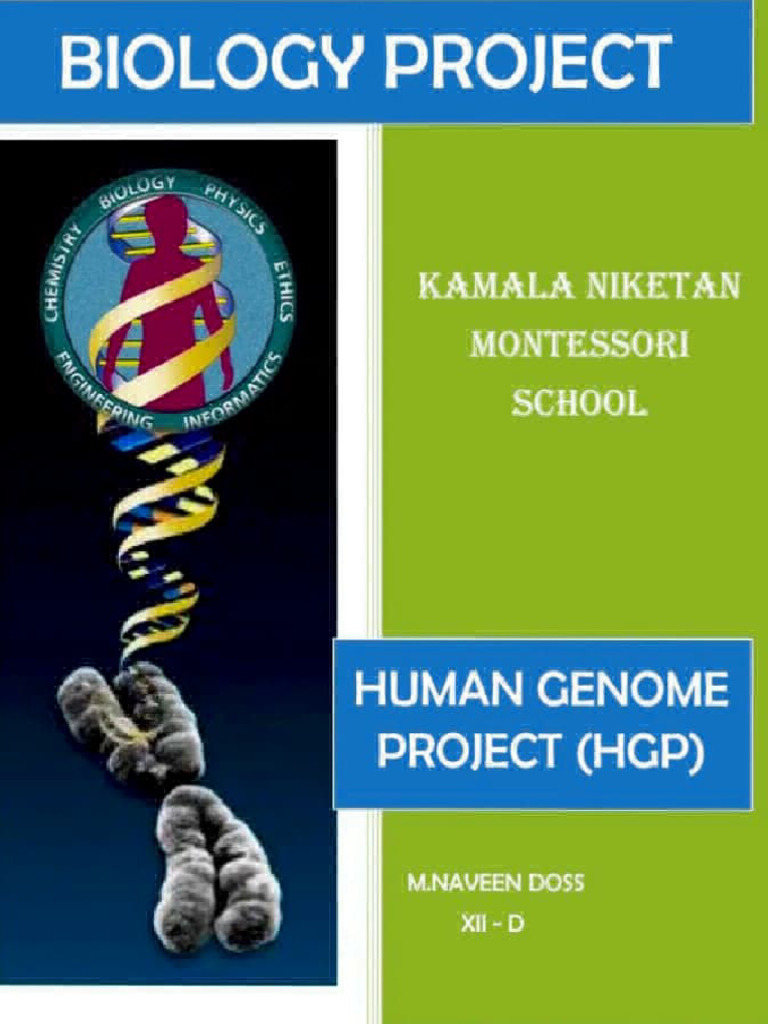 Human Genome Project | PDF | Genome | Dna