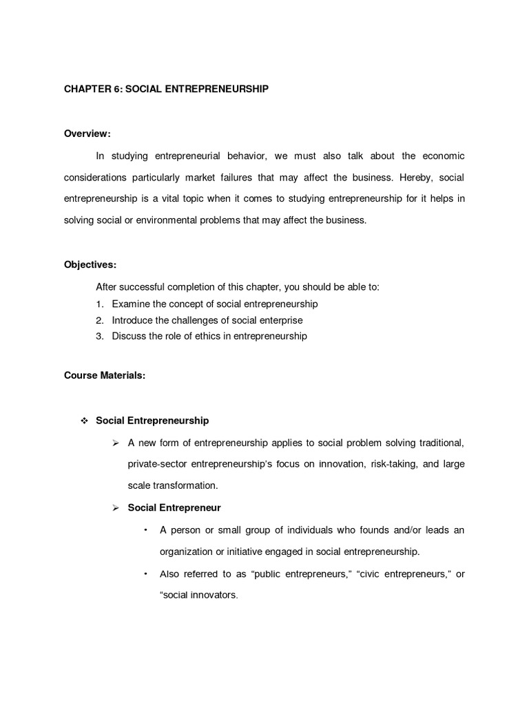 Understanding Social Entrepreneurship | PDF | Entrepreneurship | Social ...