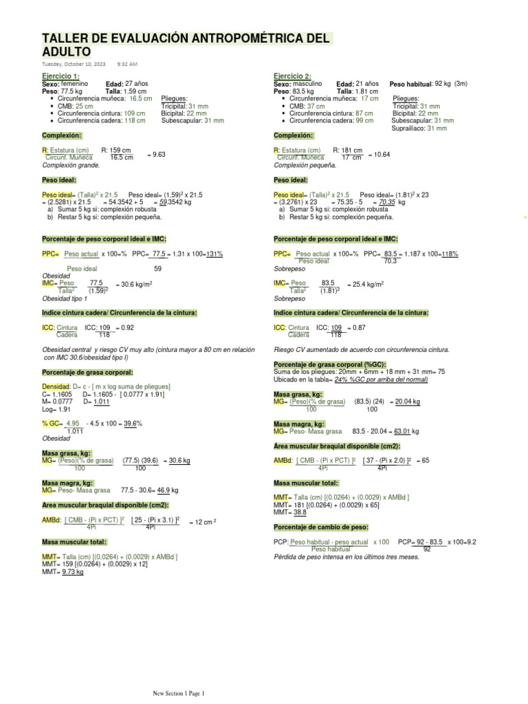 New Section 1 | PDF | Obesidad | Leche