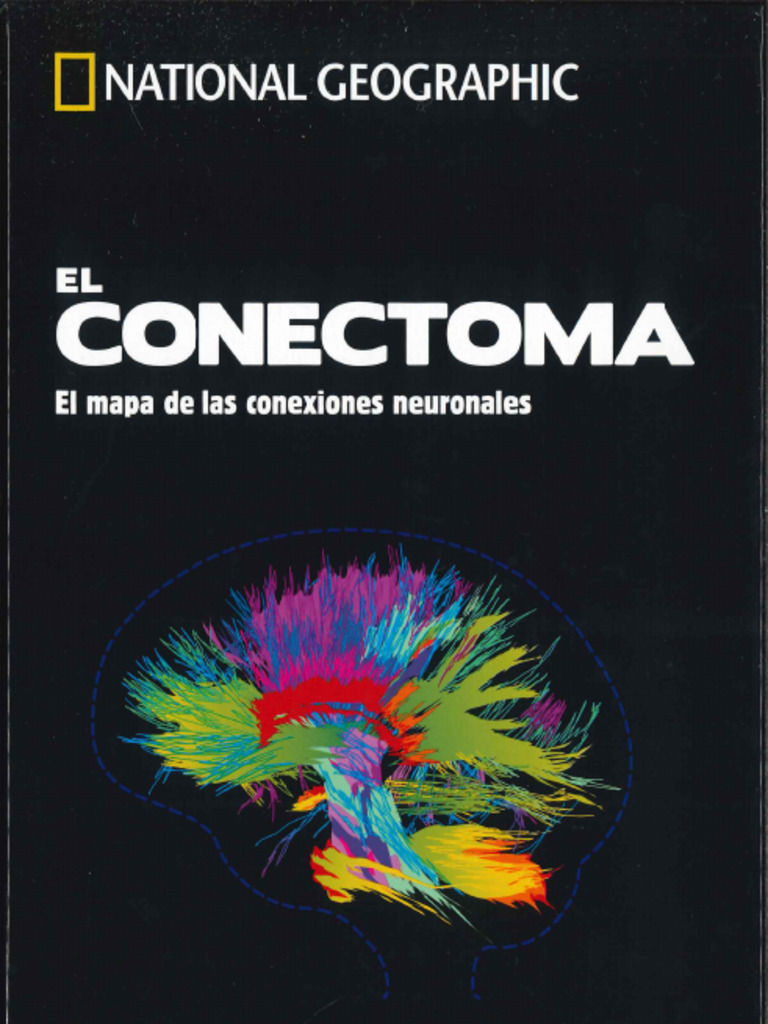 El Conectoma | PDF | Sinapsis | Neurona