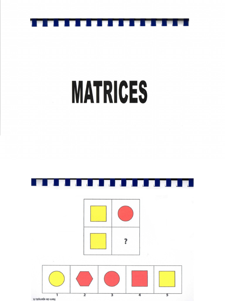 WISC-V Matrices y Balanzas | PDF