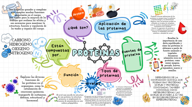 Mapa Mental Proteinas | PDF | Proteínas | Péptido