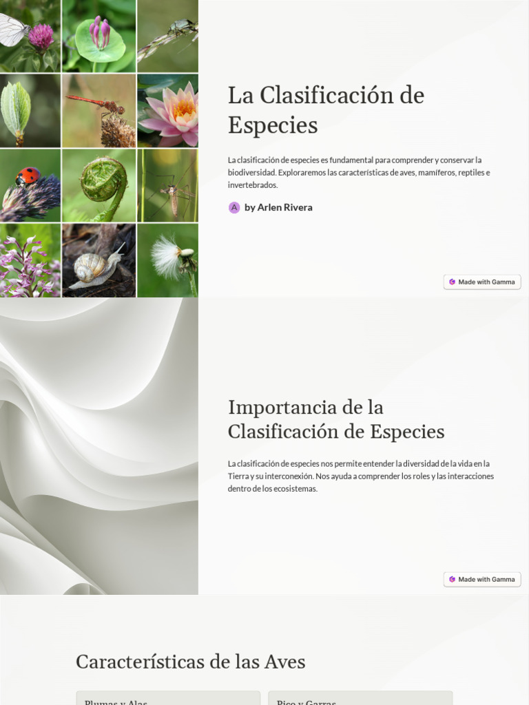 La Clasificacion de Especies | PDF | Aves | Reptil
