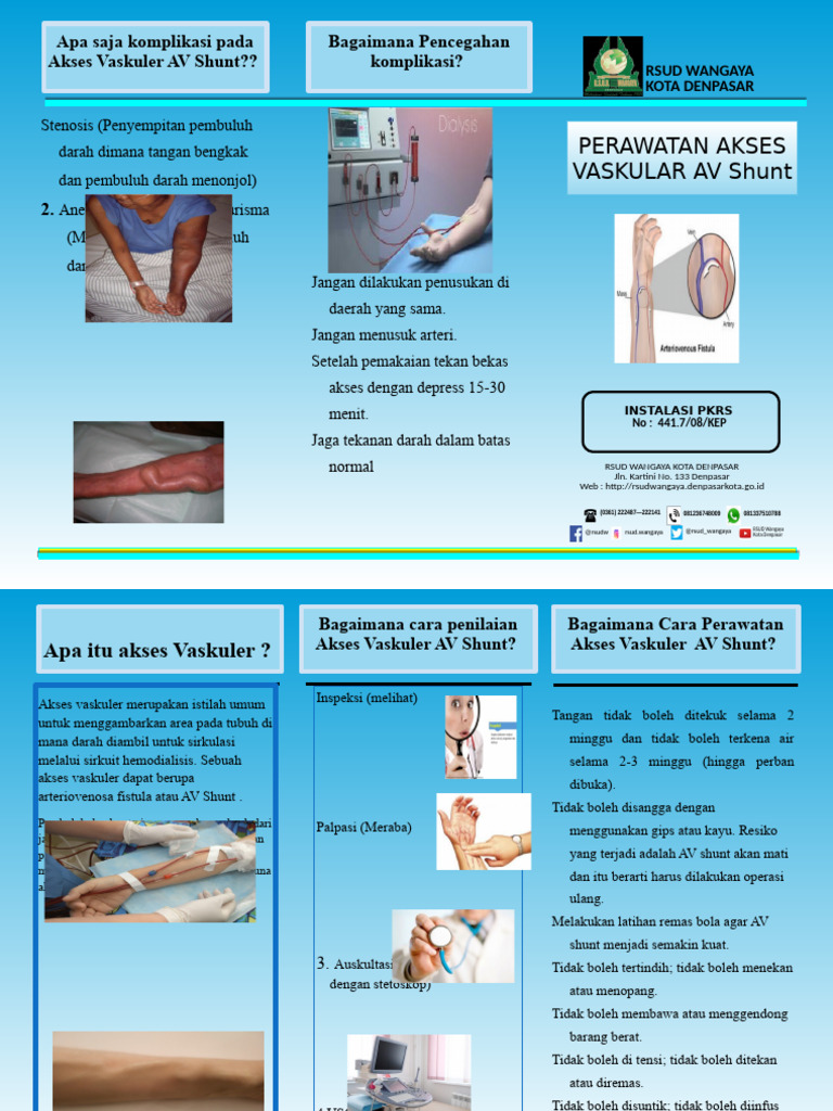 8 PKRS LEAFLET AV SHUNT (Edit) | PDF